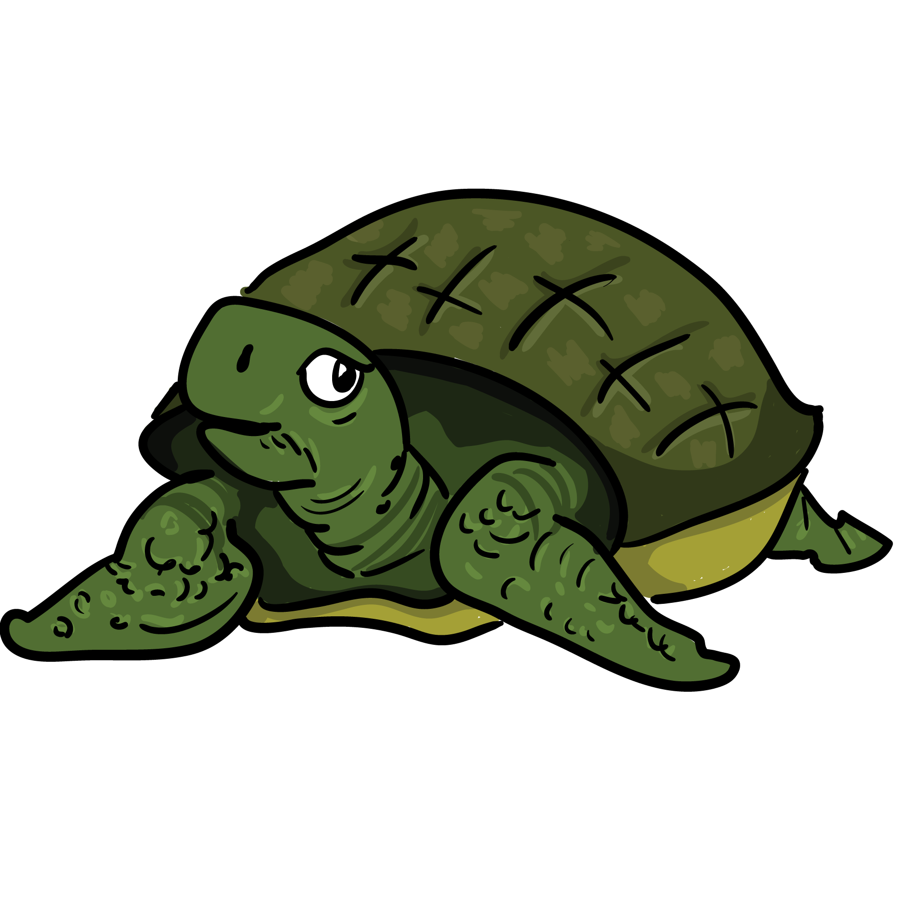 Tortoise Clip Art - ClipArt Best Tortoise Clip Art - ClipArt Best