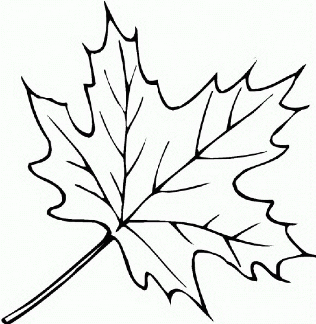 Autumn Leaves Coloring ClipArt Best