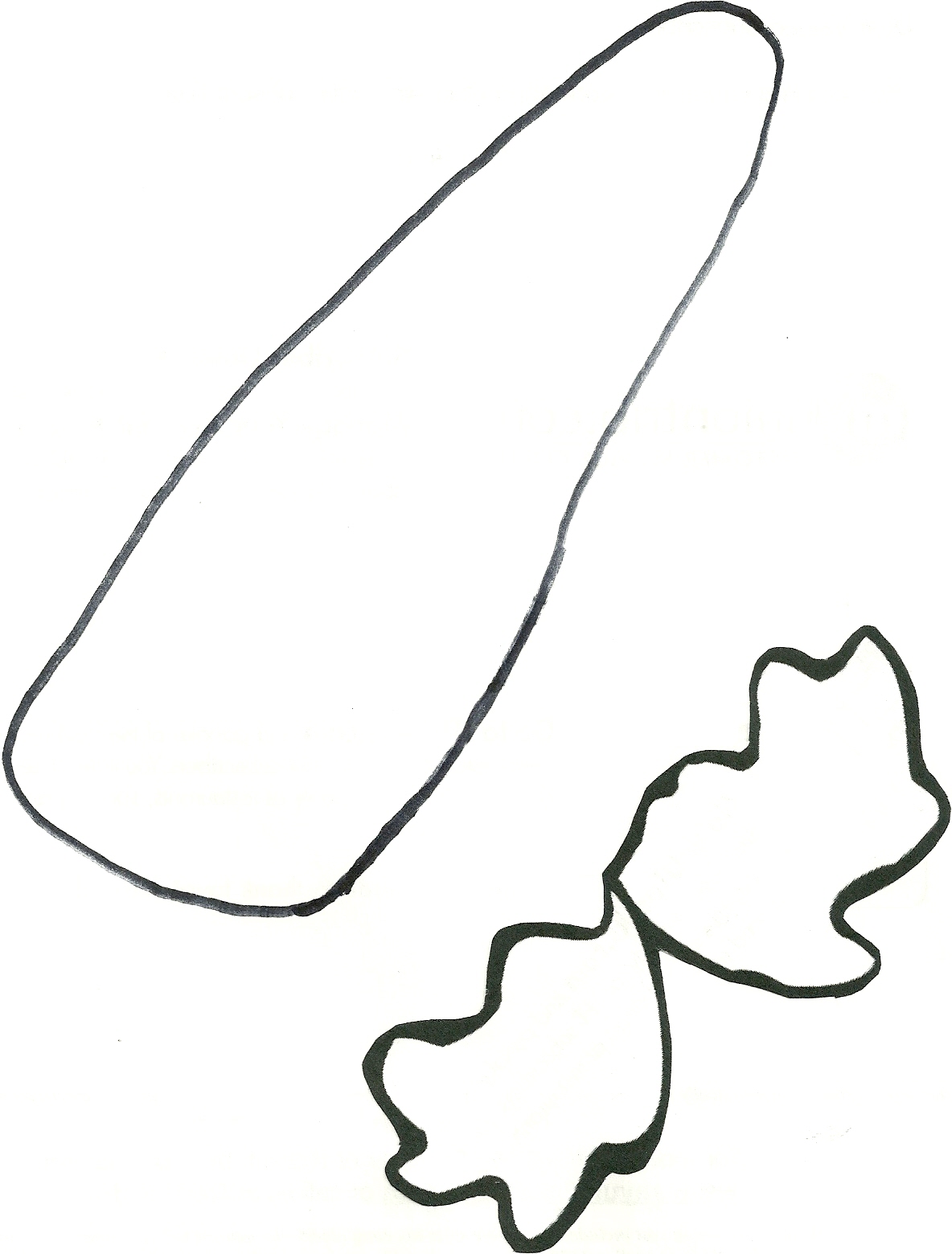 Carrot Nose Outline Search Results Calendar 2015