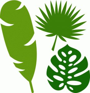 Tropical Leaves | Leaves, Palm Tree ... - ClipArt Best - ClipArt Best