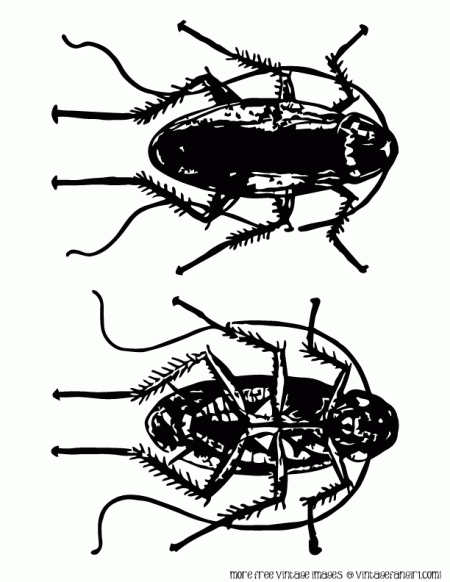 Disgusting Halloween Insects Clip Art @ Vintage Fangirl - ClipArt Best ...