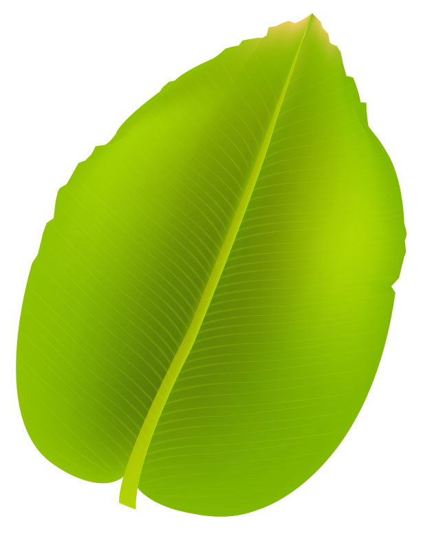 Jungle Leaf Template ClipArt Best