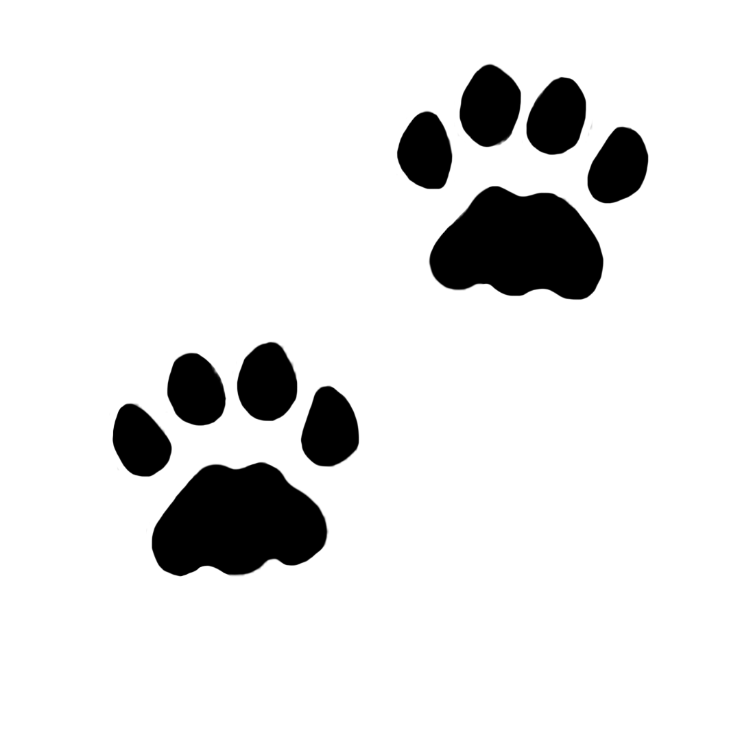 Cat Paw ClipArt Best