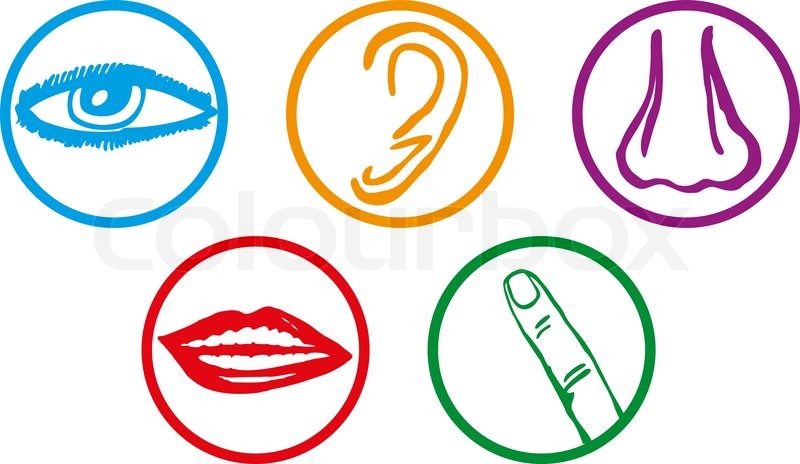 5 Senses Clip Art - ClipArt Best