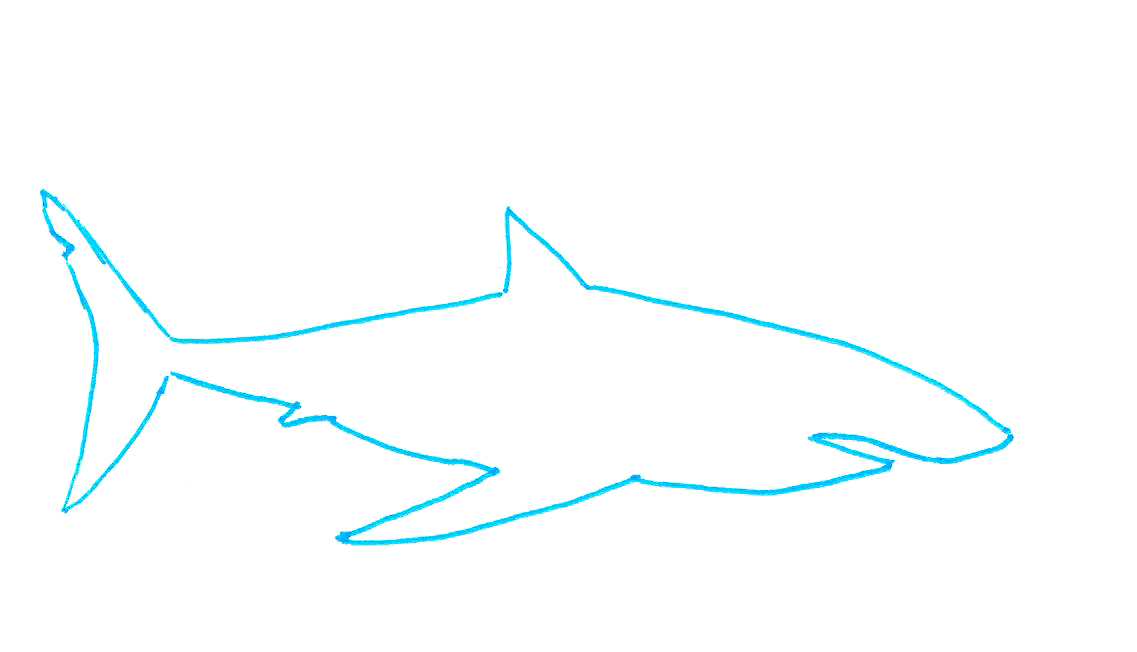 Free Shark Template Printable Templates