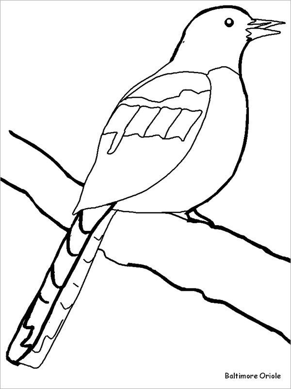 Bird Beak Template ClipArt Best