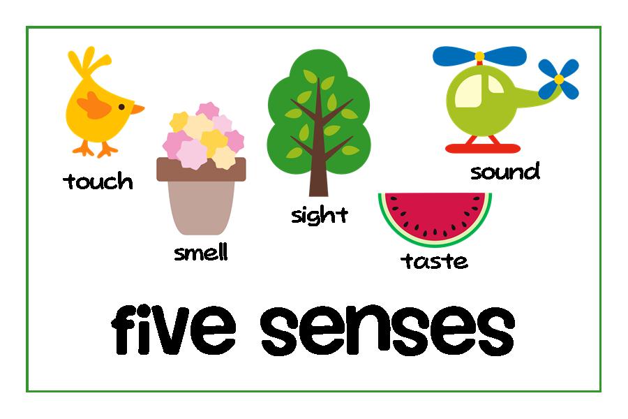 5 Senses Clipart - ClipArt Best 5 Senses Clipart - ClipArt Best