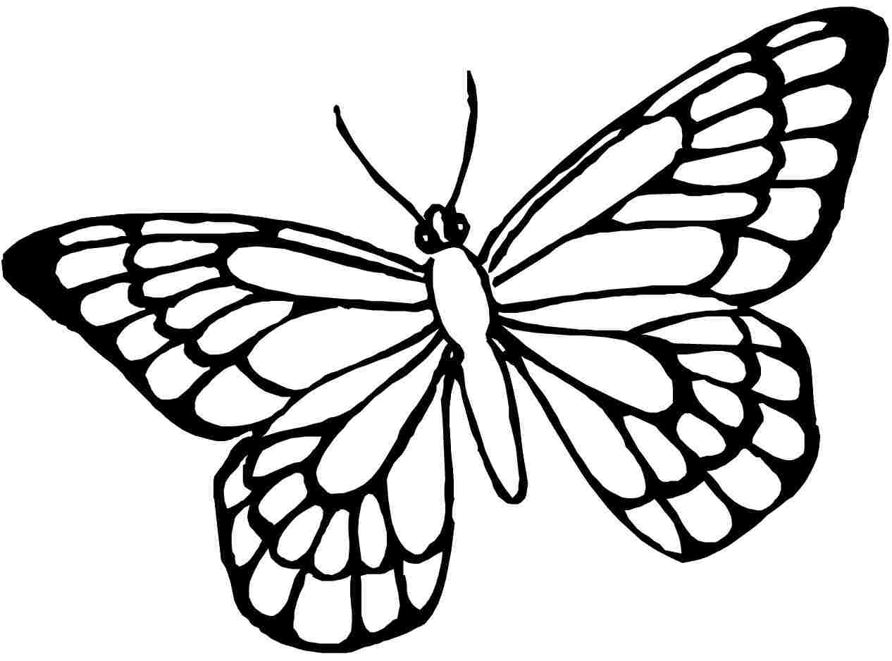 Butterfly Color Page 3529 ClipArt Best ClipArt Best butterfly-color-page-3529-clipart-best-clipart-best