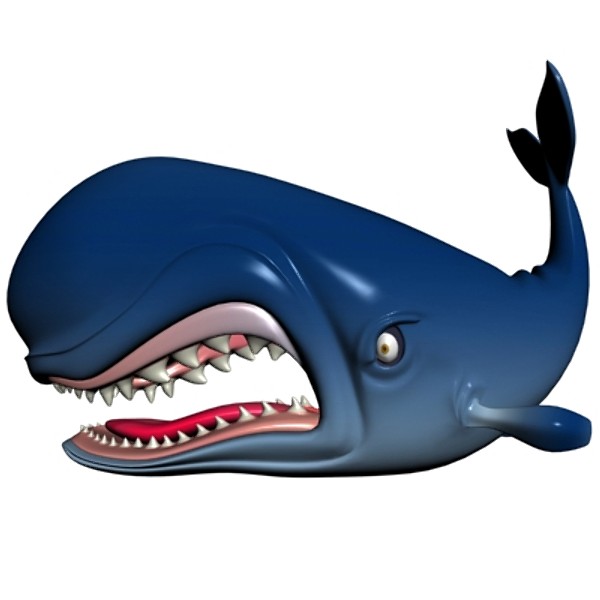 Animation Whale - ClipArt Best