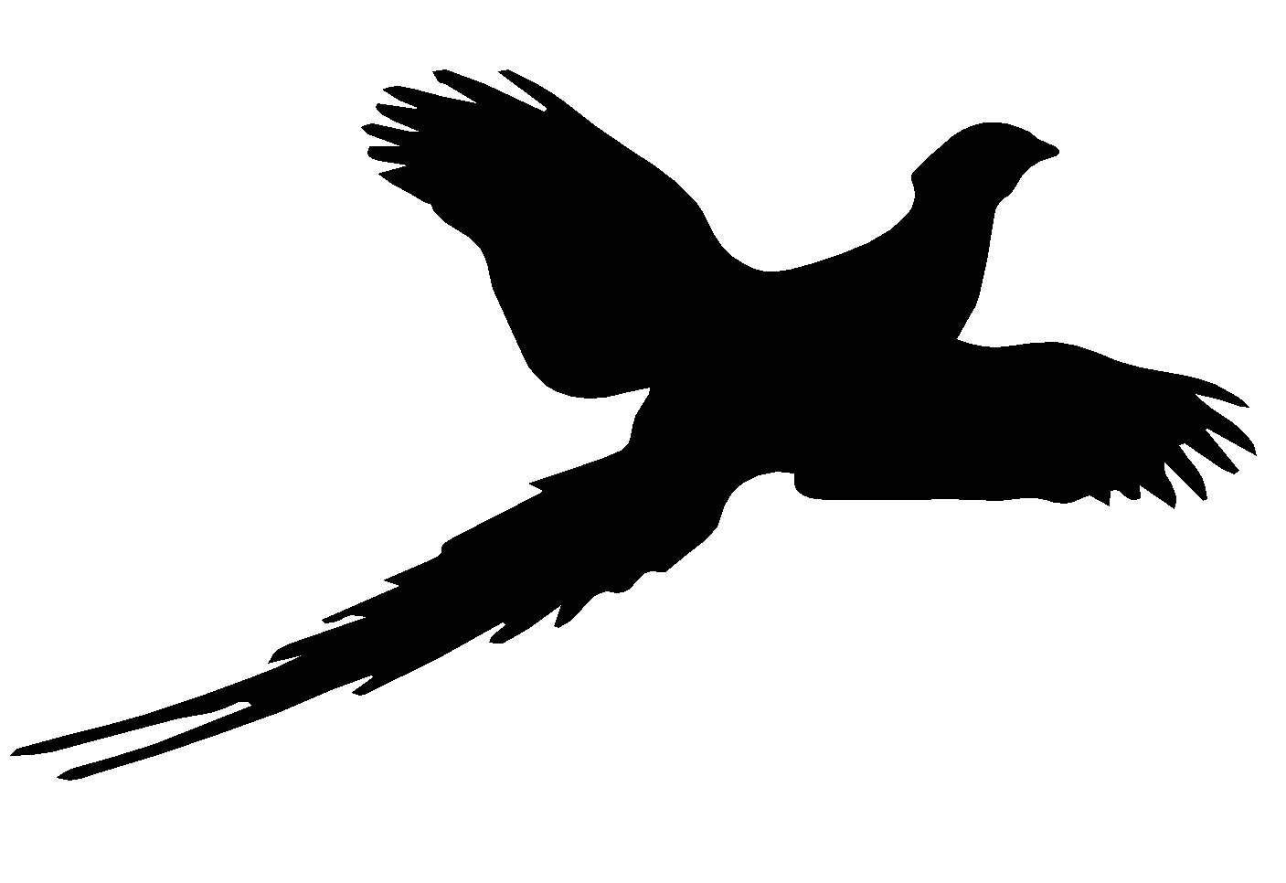 Pheasant Clip Art Clipart Best