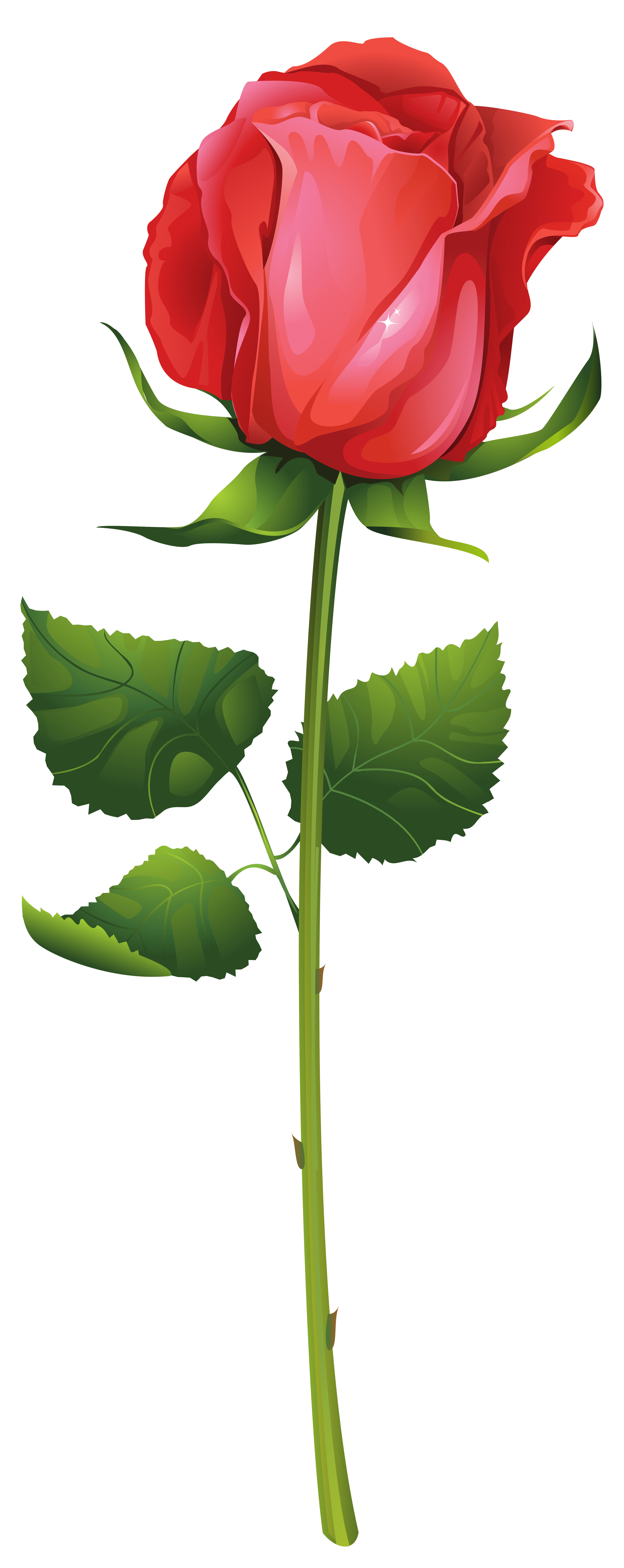 Rose With Stem ClipArt Best