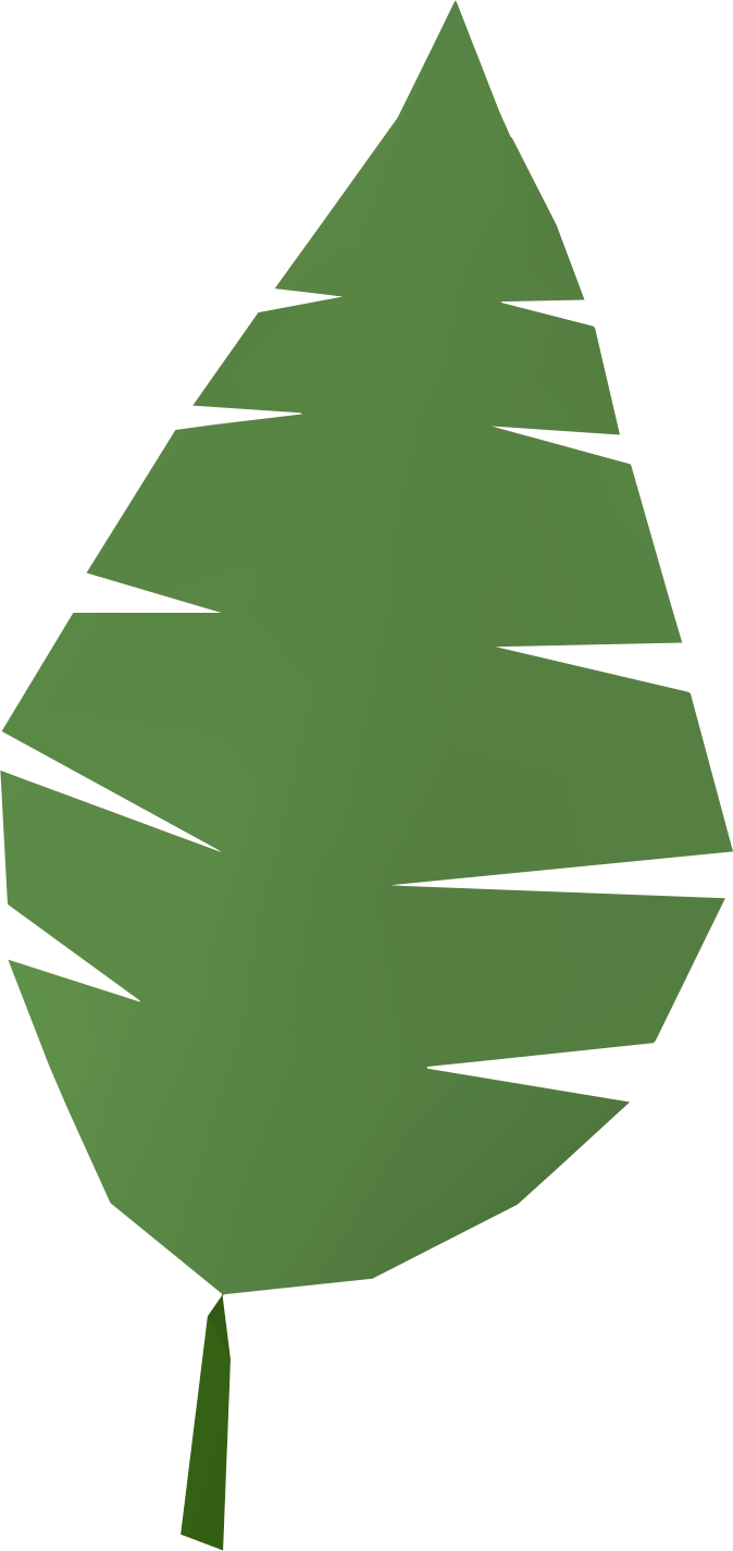 Tropical Leaf Template ClipArt Best