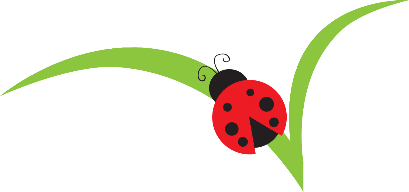 Ladybug on flower clipart - ClipArt Best - ClipArt Best