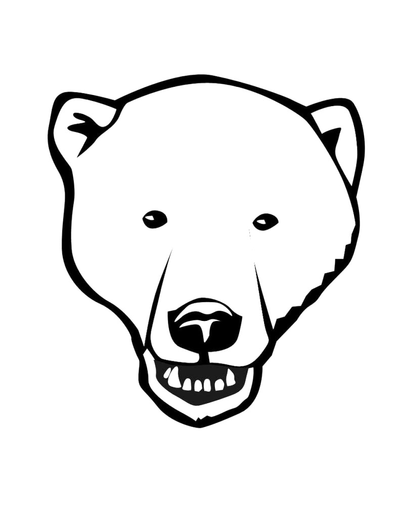 Teddy Bear Face Template ClipArt Best