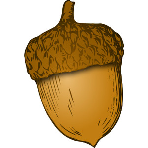 Acorn Nuts Pictures - ClipArt Best