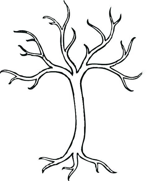 How To Draw A Tree Without Leaves ClipArt Best