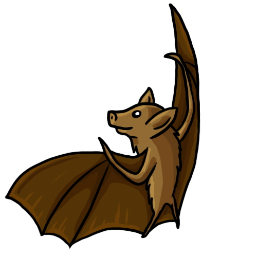Bat Pictures Free - ClipArt Best
