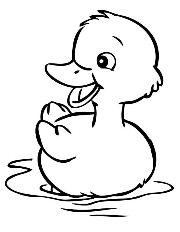 Cute Duck Coloring Pages, cute duck coloring pages for kids duck ...