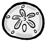 Sand Dollar Clip Art - ClipArt Best