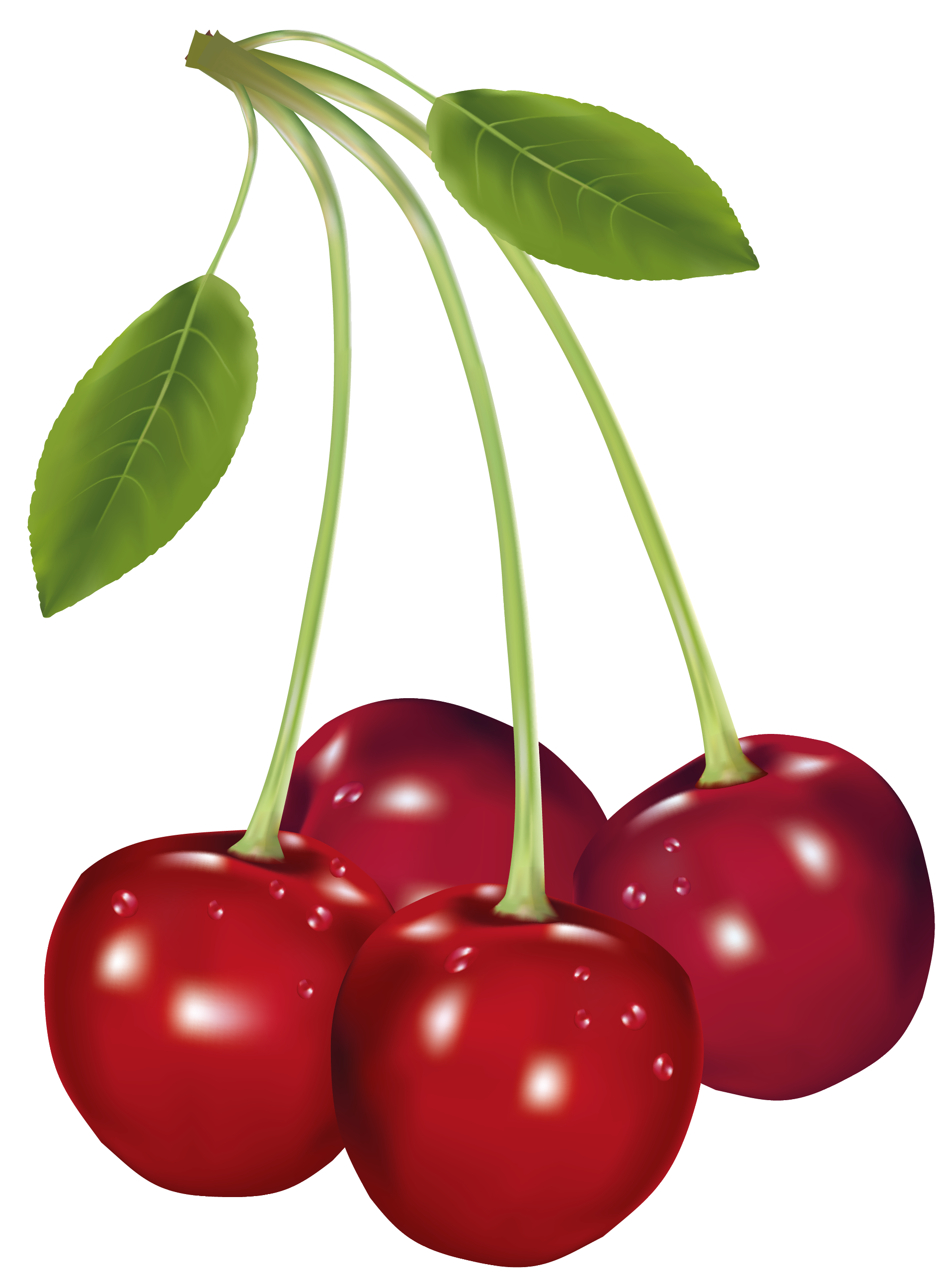 Cherries Clip Art - ClipArt Best Cherries Clip Art - ClipArt Best