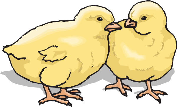 Baby Chick Clip Art - ClipArt Best