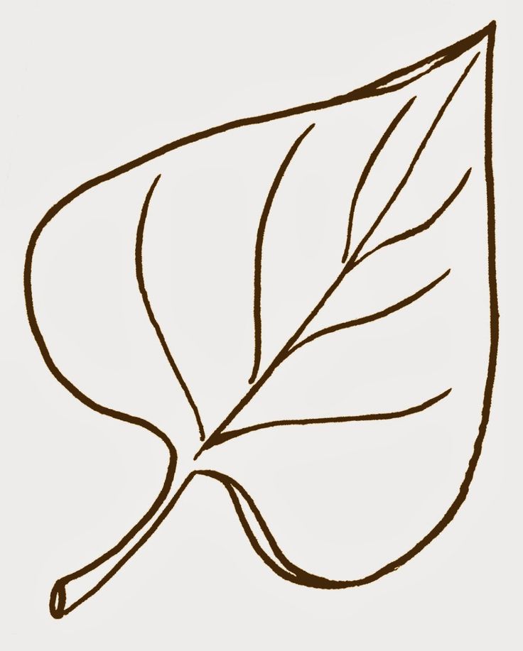  Sunflower Leaf Template ClipArt Best