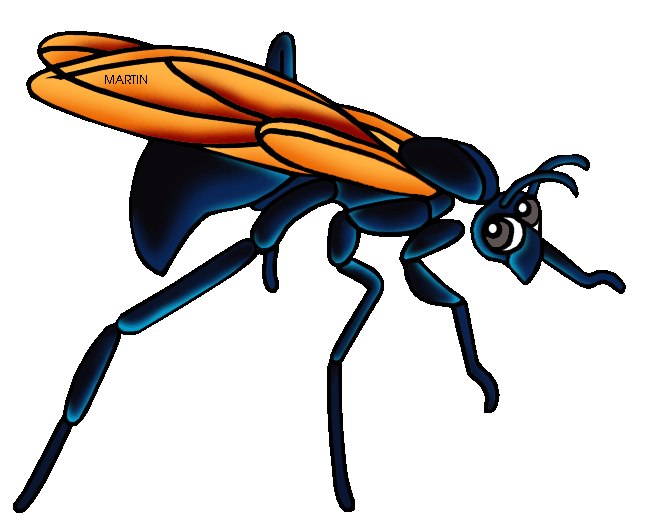 Free Animals Clip Art by Phillip Martin, Tarantula Hawk Wasp - ClipArt ...