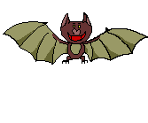 Flying Bat Gif