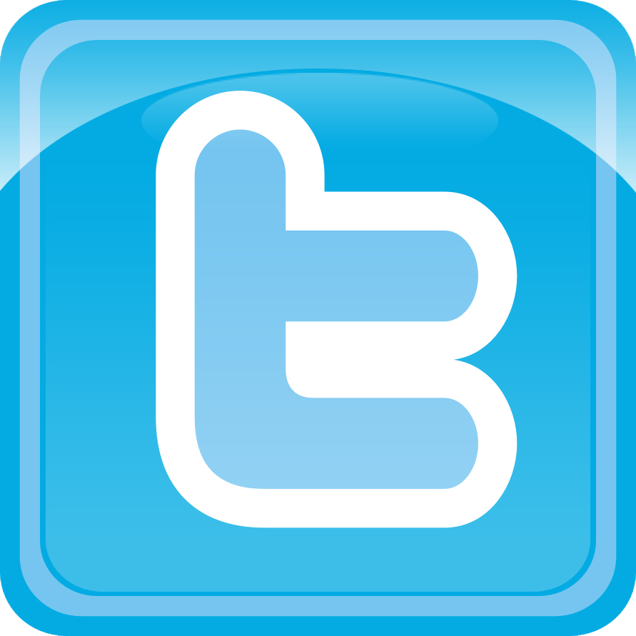 Official Twitter Logo Button