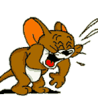 Laughing Cat Animated Gif