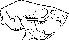 Rat Teeth - ClipArt Best - ClipArt Best