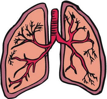 Bronchitis Symptoms and Treatment - ClipArt Best - ClipArt Best