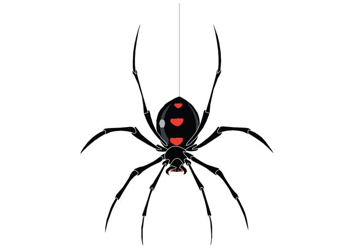 Spider Vector | Free Vector Art at Vecteezy! - ClipArt Best - ClipArt Best