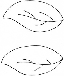 Tree Leaf Patterns Clipart - Free to use Clip Art Resource - ClipArt ...