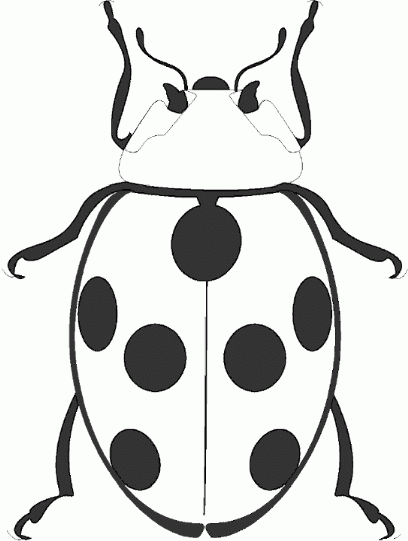 Ladybug Cartoon Black And White