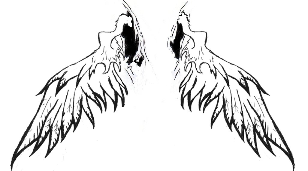 Fallen Angel Wing Drawings