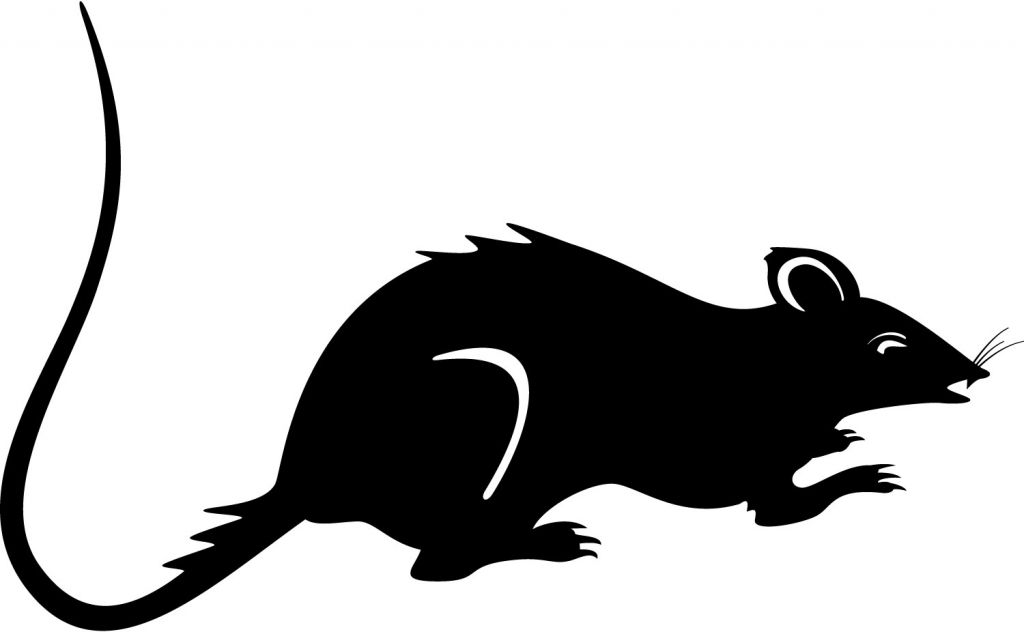 Buff Rat Clipart