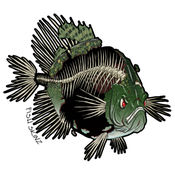 Fish Skinz Decals - ClipArt Best