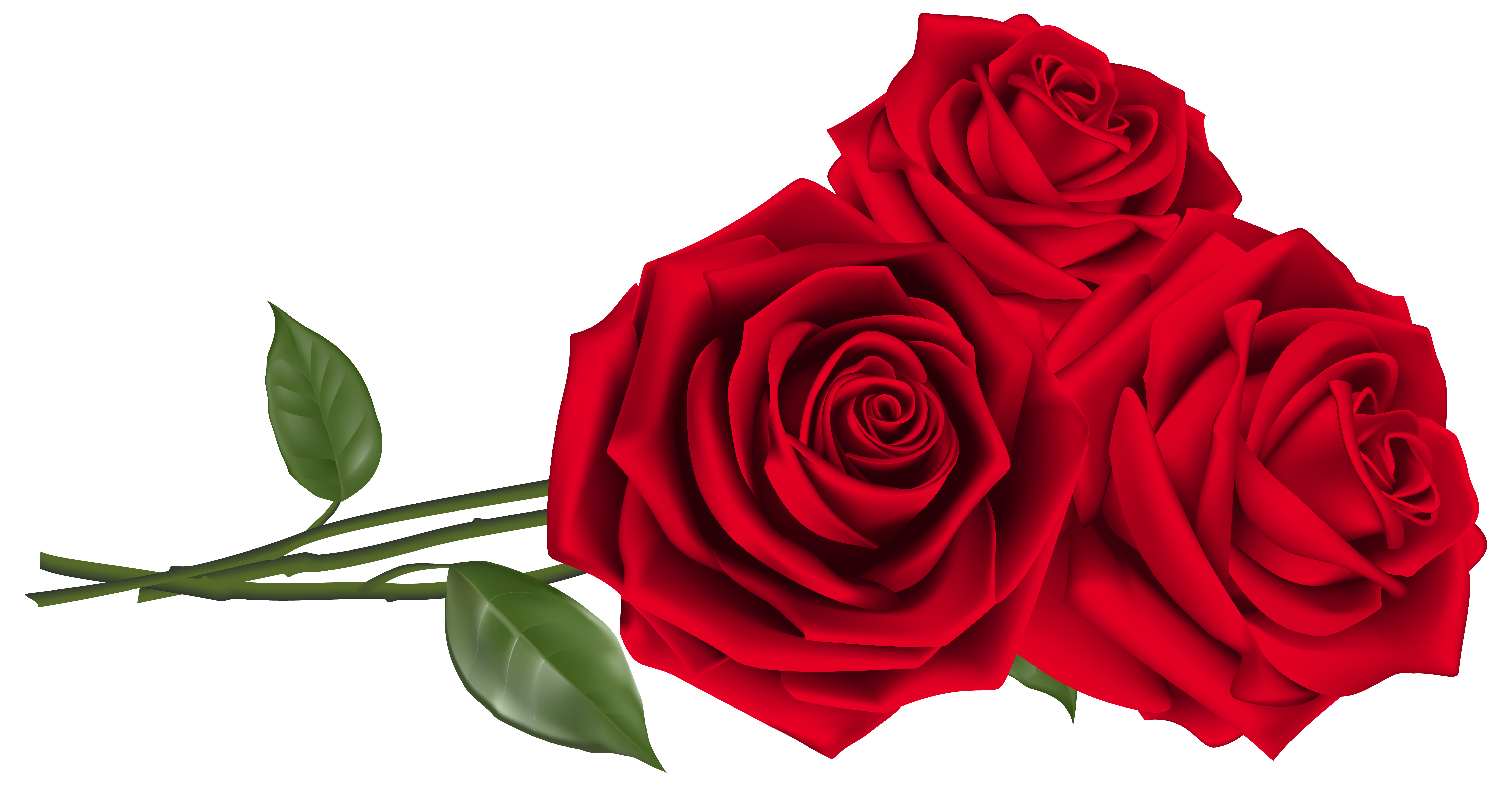 Three Red Roses PNG Clipart Image - ClipArt Best - ClipArt Best