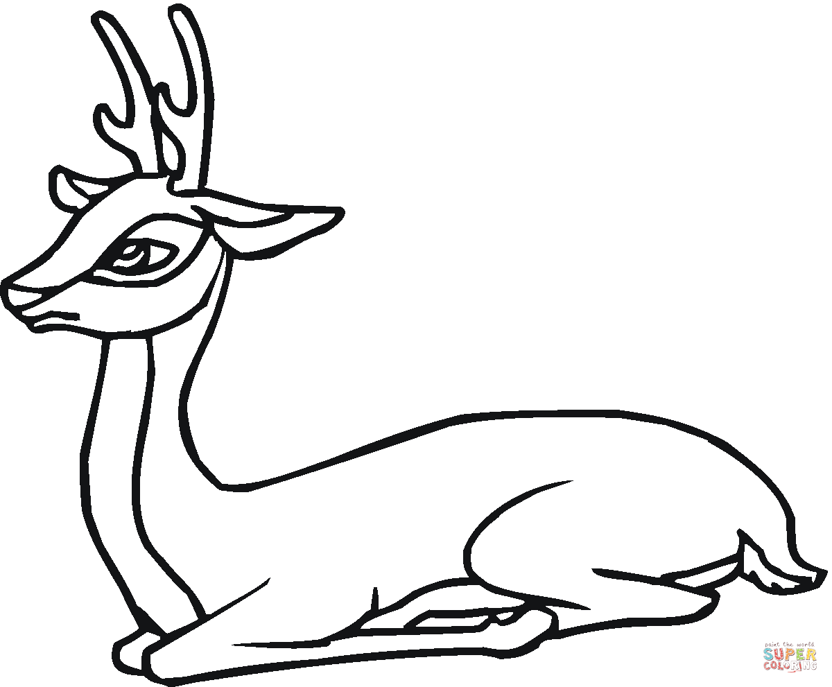 Roe Deer coloring pages | Free Coloring Pages - ClipArt Best - ClipArt Best