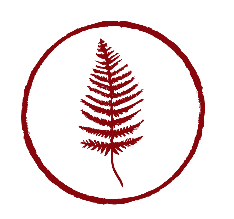 Red fern clip art - ClipArt Best - ClipArt Best