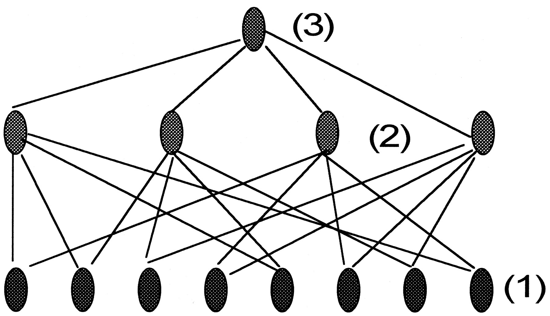 Simple neural networks for the amplification and utilization of ...