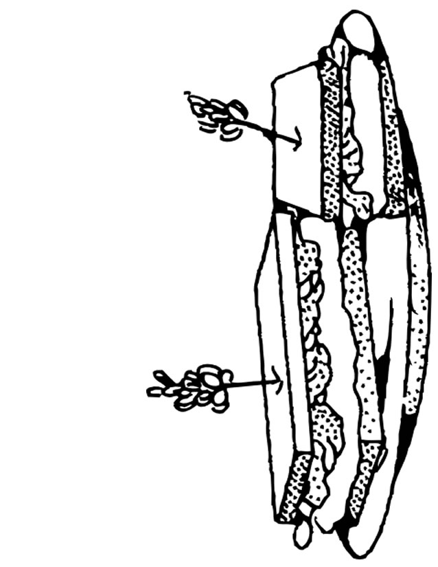 Pain Coloriage - ClipArt Best