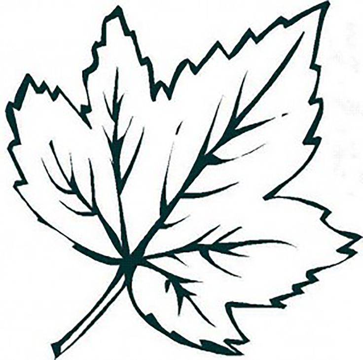 Pot Leaf Coloring Pages - ClipArt Best