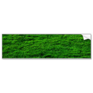 Grass Pattern Bumper Stickers, Grass Pattern Bumper Sticker Designs ...