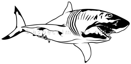 Stock-photography Aspect Images, Photographer: Roman Dekan ...