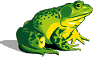 Bullfrog Clipart - ClipArt Best