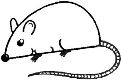 Computer Mouse Sketch Sketch Coloring Page