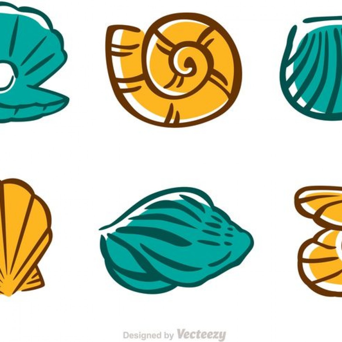 Sea Shell Vector - ClipArt Best