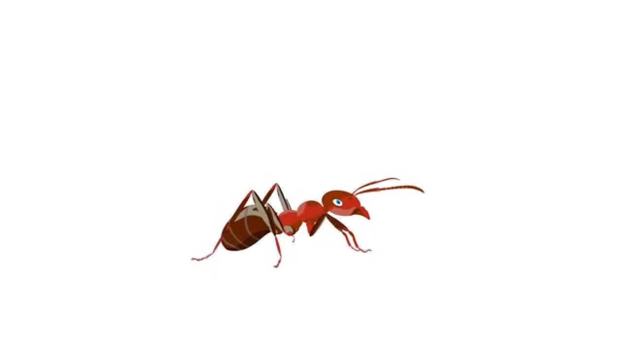 Animated Picture Of An Ant - ClipArt Best
